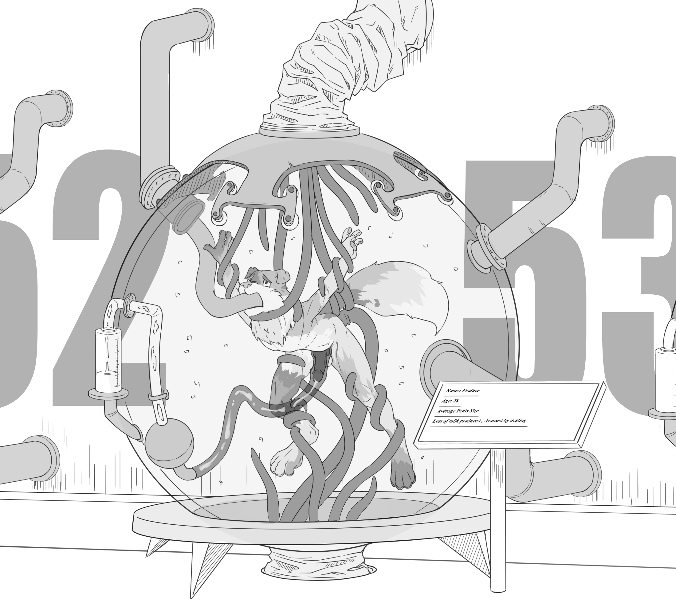 Rule 34 Anal Anal Sex Anthro Australian Shepherd Balls Bodily Fluids Bondage Border Collie