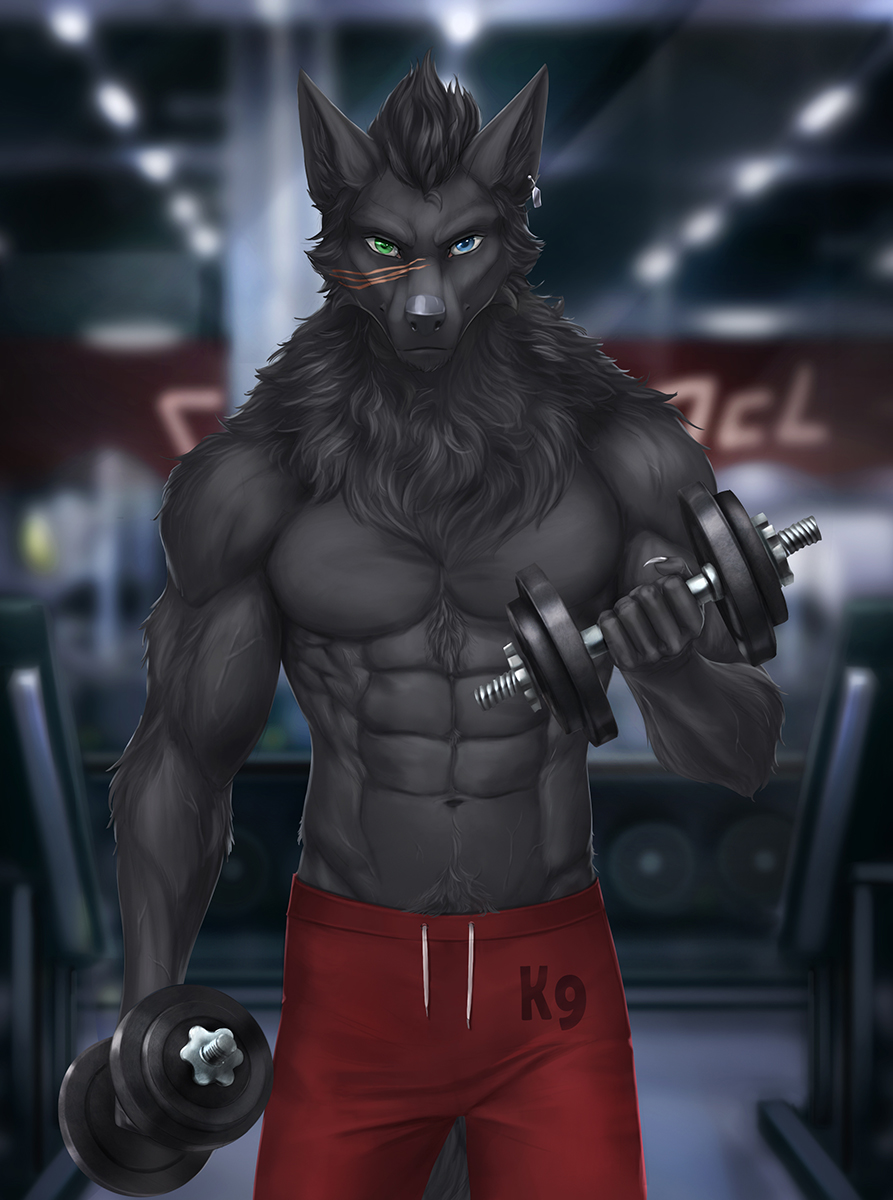 The Big Imageboard Tbib 2022 5 Fingers Abs Anthro Black Body Black
