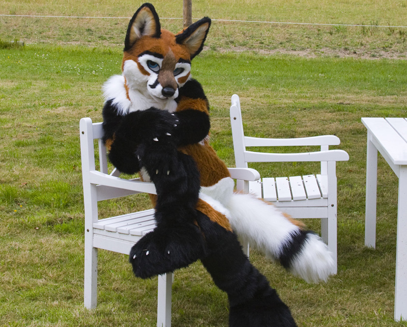Sexy fox costume store