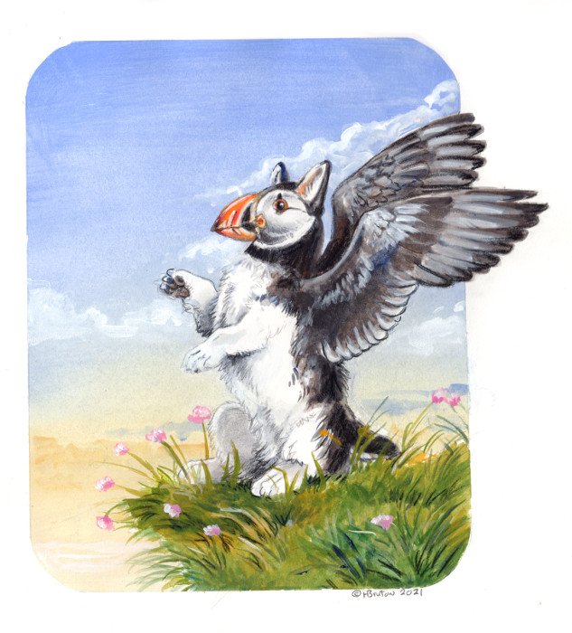 The Big Imageboard Tbib 2021 Alcid Ambiguous Gender Avian Bird