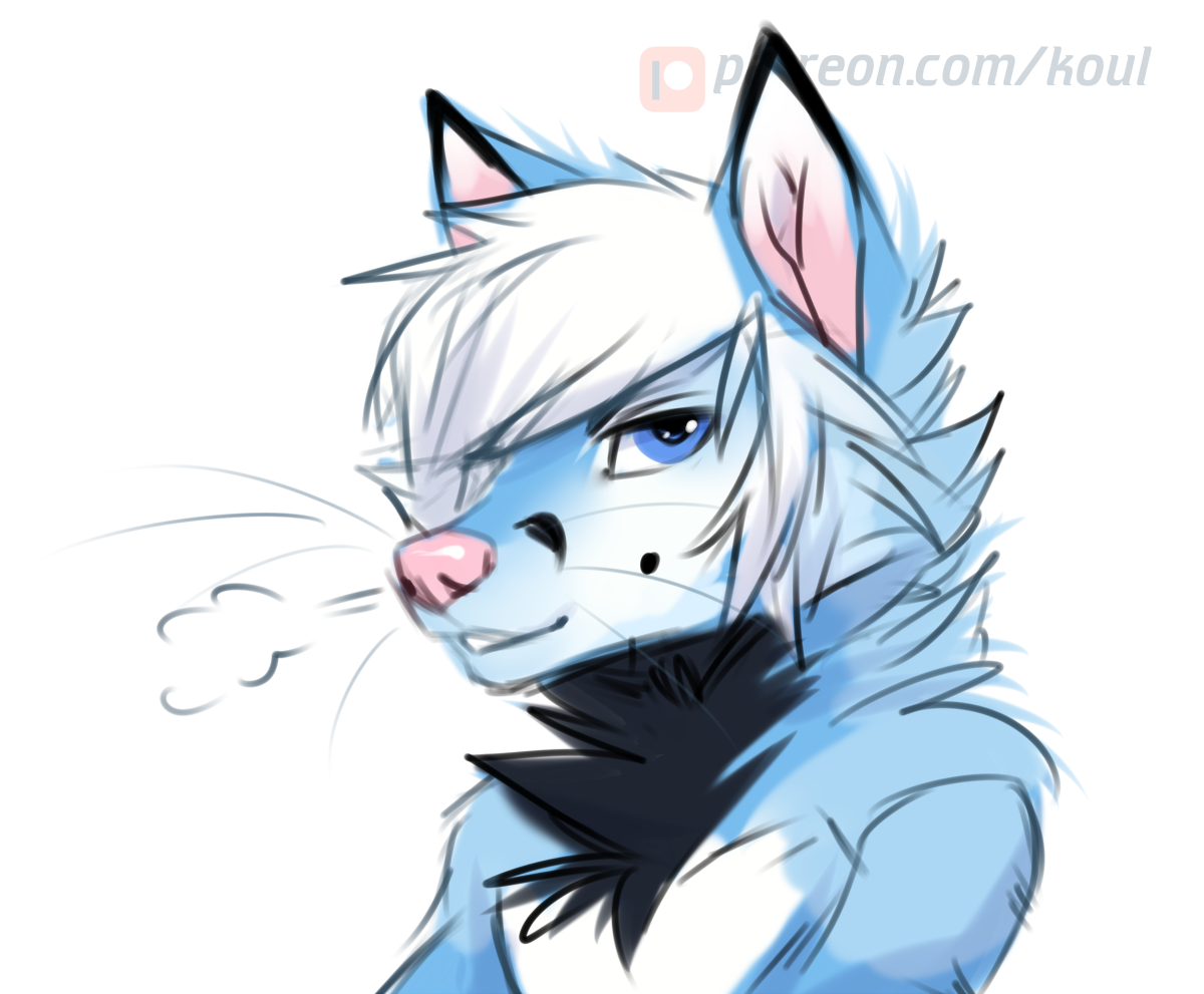 The Big Imageboard Tbib 2022 Blue Body Blue Eyes Blue Fur Canid