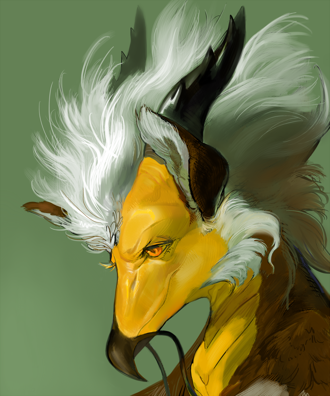 The Big Imageboard Tbib 2020 Accipitrid Accipitriform Anthro Avian Barbel Anatomy Beak