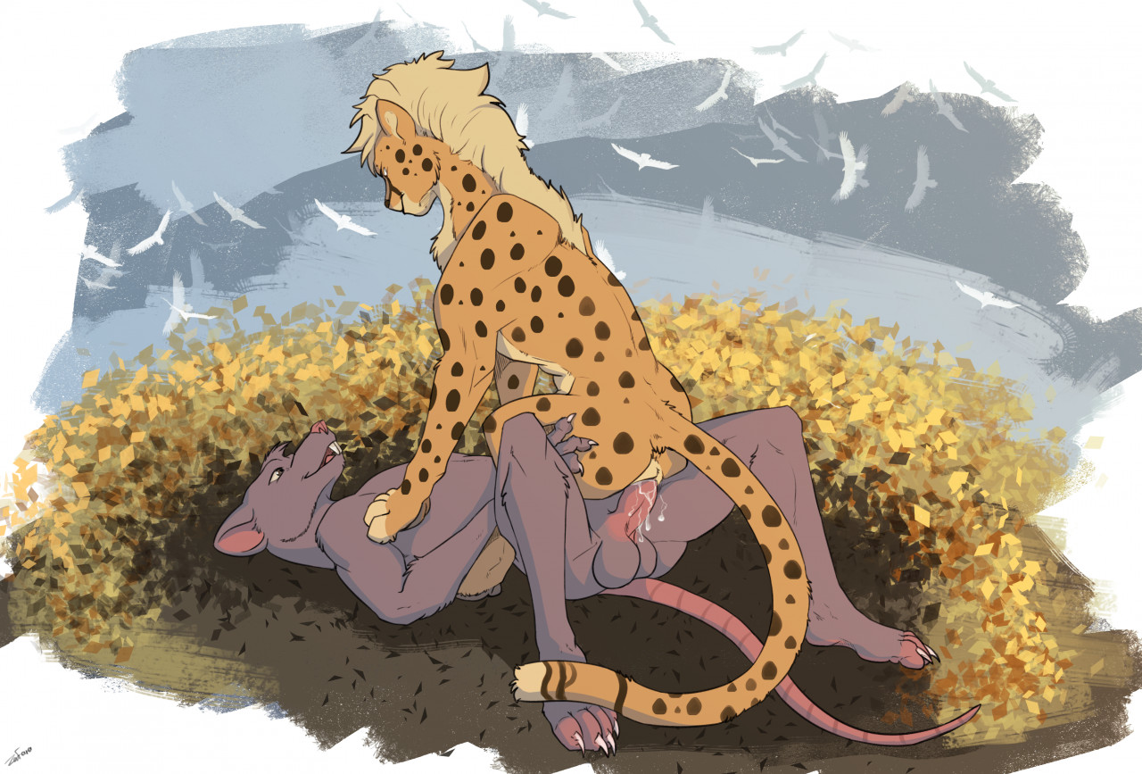 Rule 34 Anthro Anthro On Anthro Anthro On Bottom Anthro On Feral