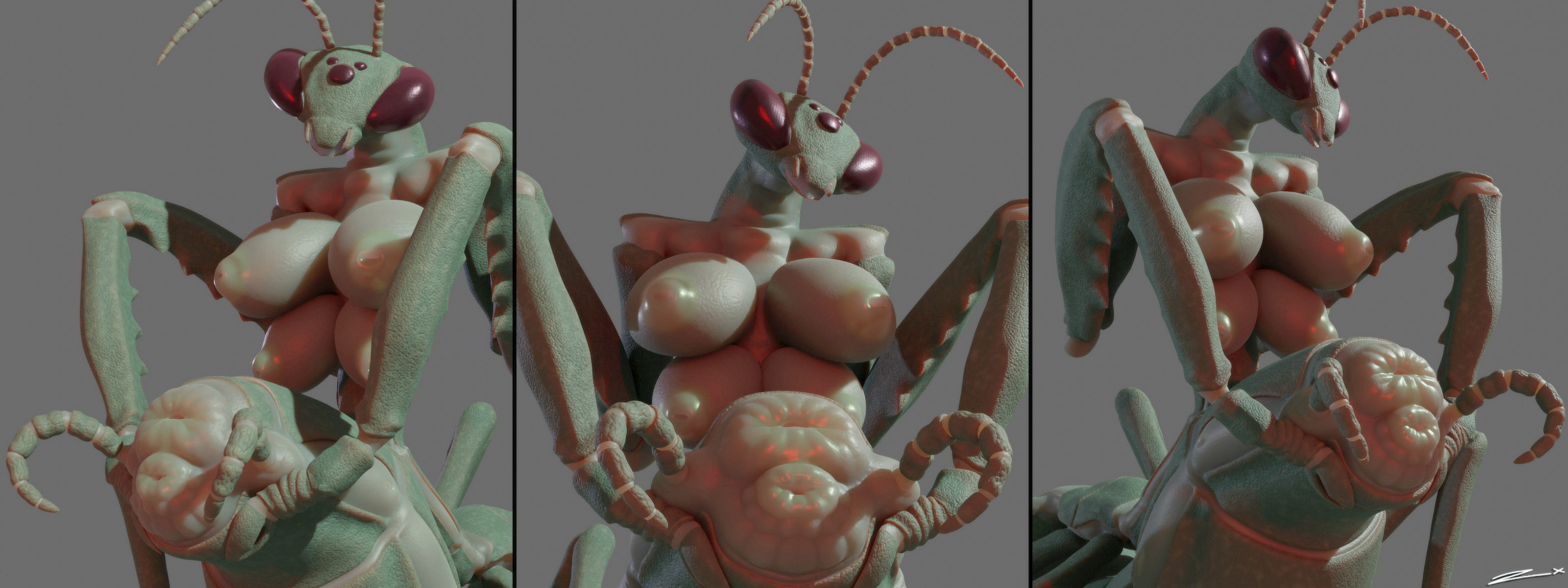 Rule 34 3d Antennae Anatomy Anus Arthropod Arthropod Abdomen
